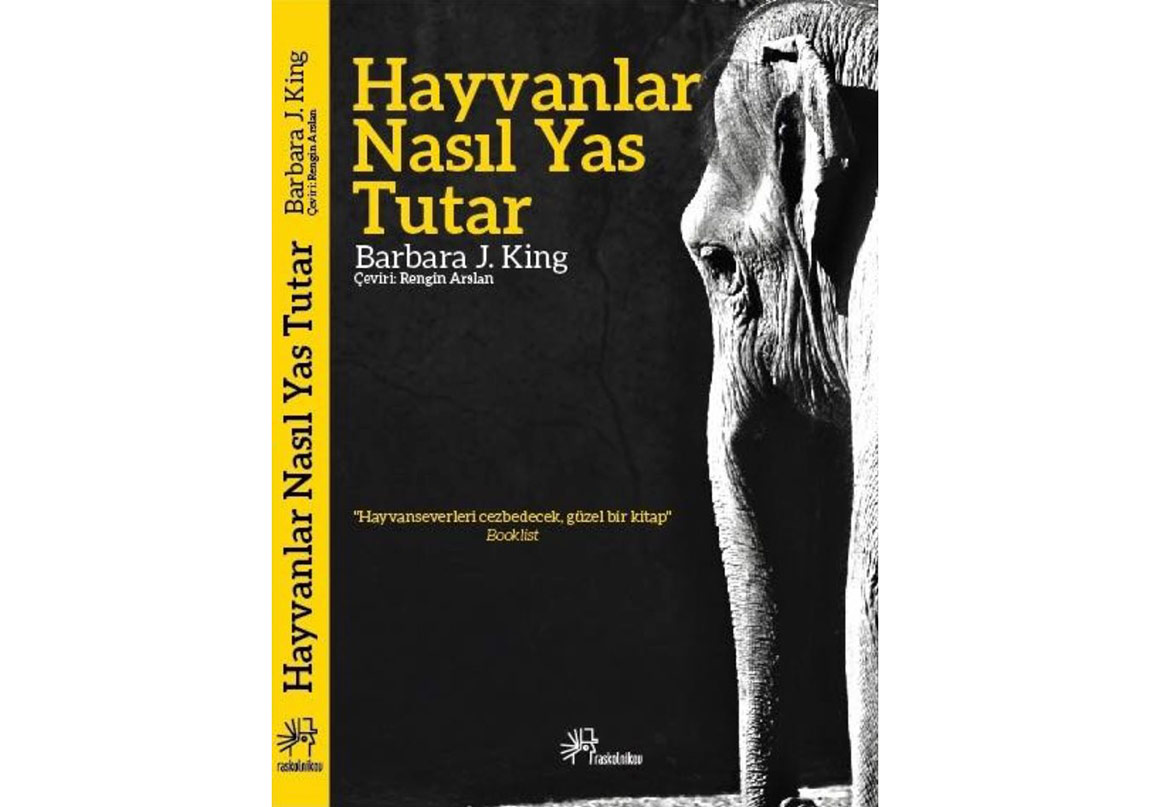 Hayvanlar Nasıl Yas Tutar? | Artful Living
