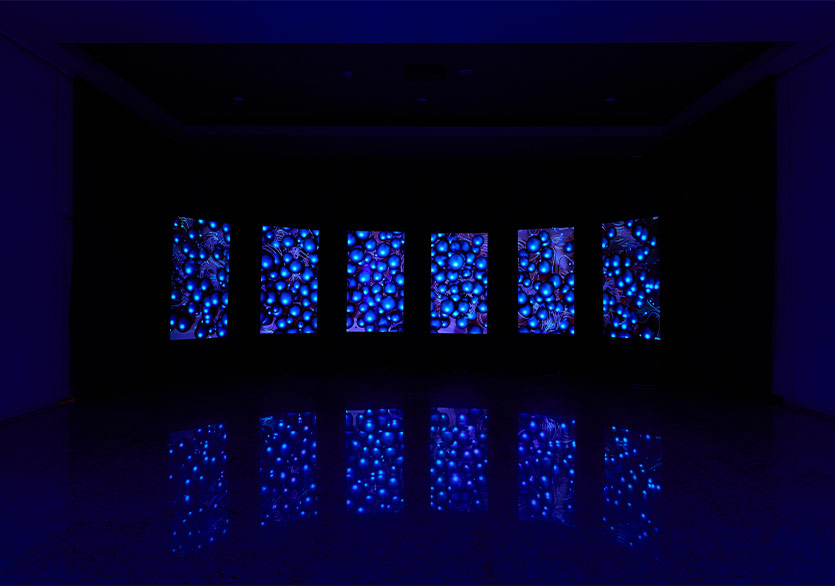 CI Bloom’un Üçüncü Edisyonu LG OLED Partnerliğinde Gerçekleşiyor ...